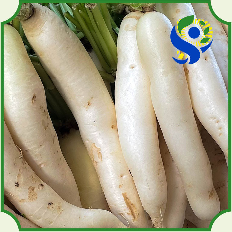 Labanos – Sentrong Pamilihan