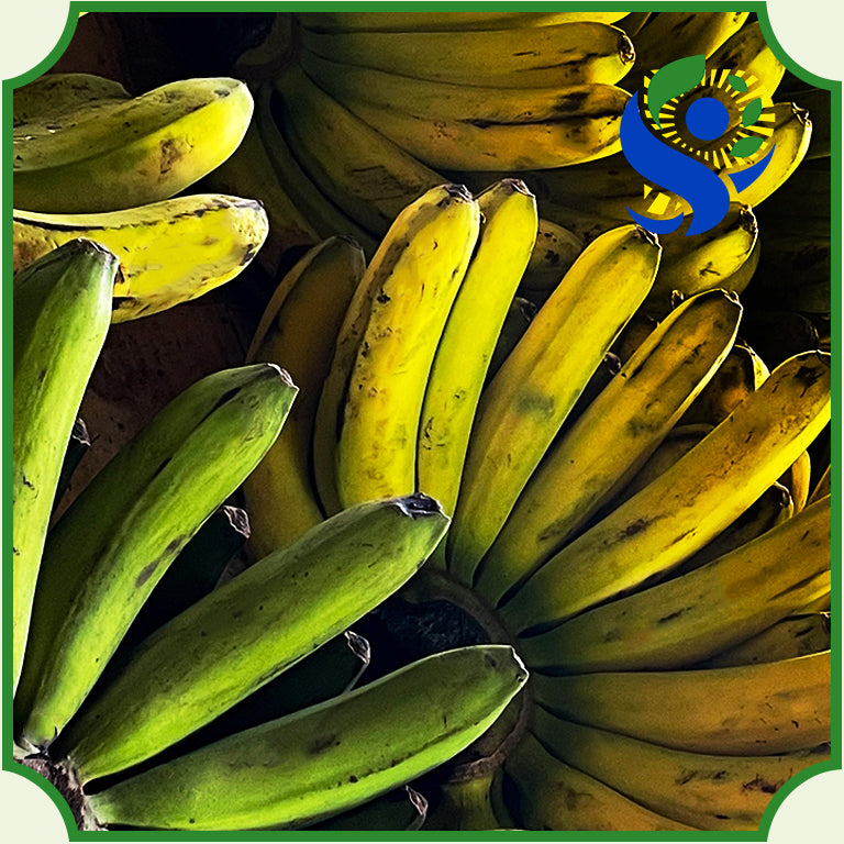 Lakatan – Sentrong Pamilihan