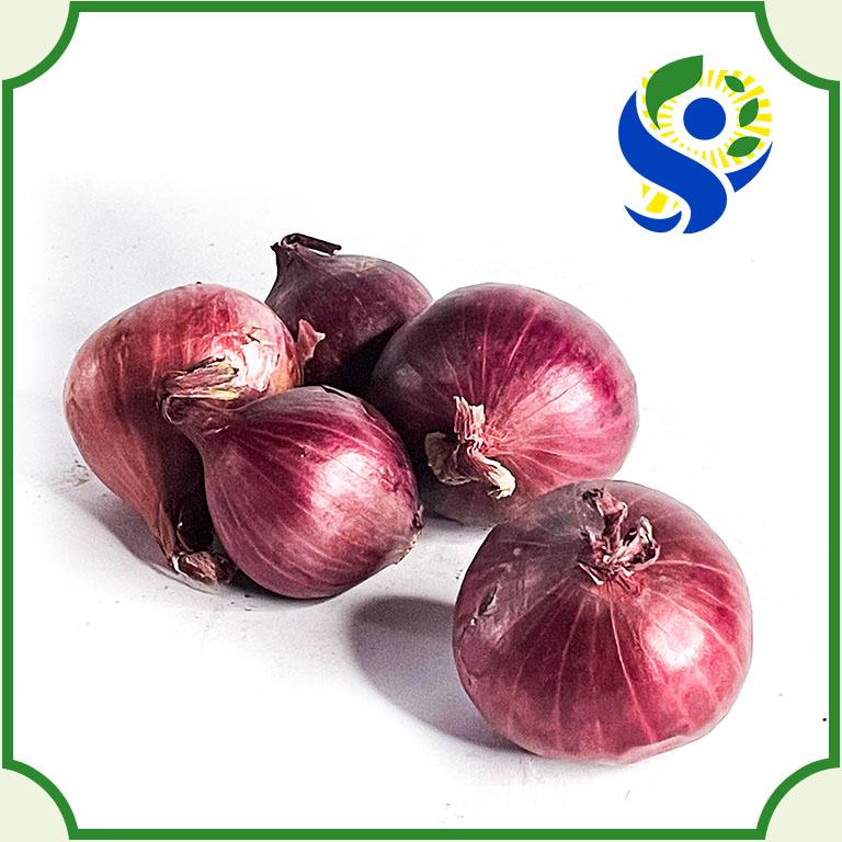 Sibuyas (500g) – Sentrong Pamilihan