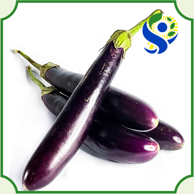 Talong – Sentrong Pamilihan