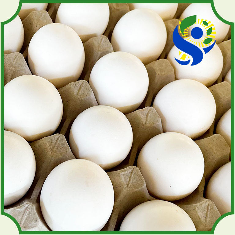 Itlog (Puti) – Sentrong Pamilihan