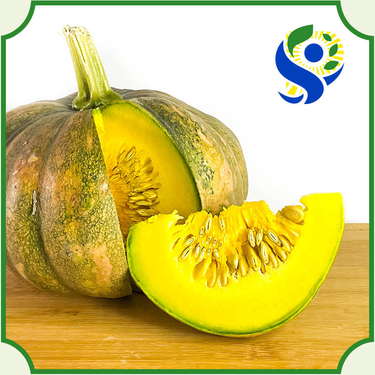 Kalabasa Kalabsa Tagalog To English Dictionary Online Squash Flower