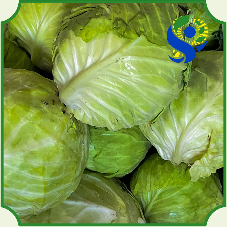 Repolyo – Sentrong Pamilihan